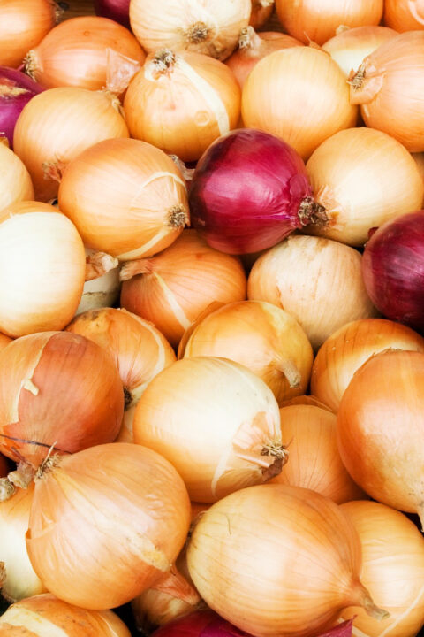 Producten - Eussifruit